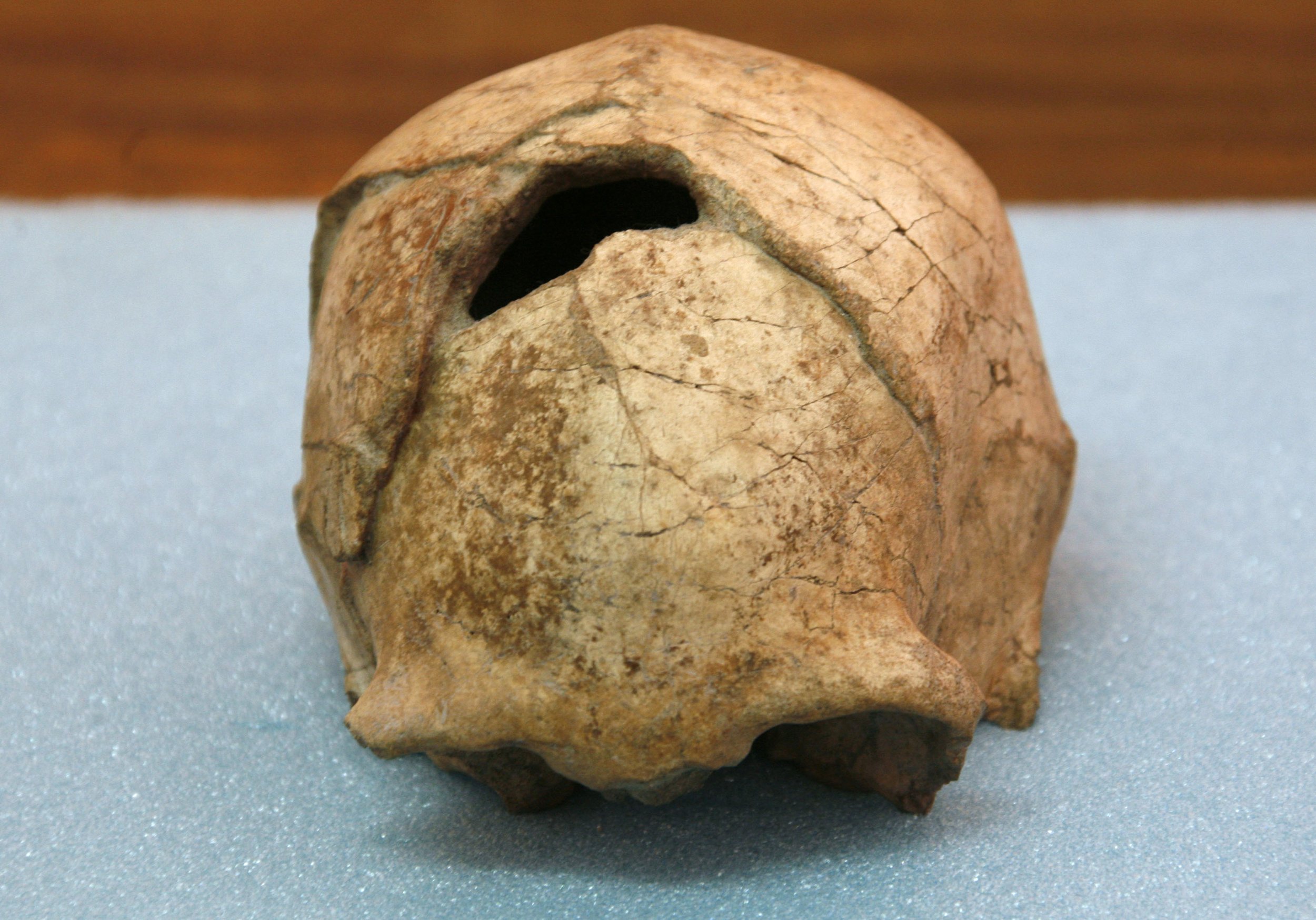 Human Evolution: Ancient Skulls Found In China Show Mix Of Neanderthal ...