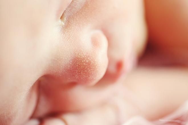 Scientists Create 3D-Printed Ovaries To Treat Infertility | IBTimes Scientists Create 3D-Printed Ovaries To Treat Infertility | IBTimes