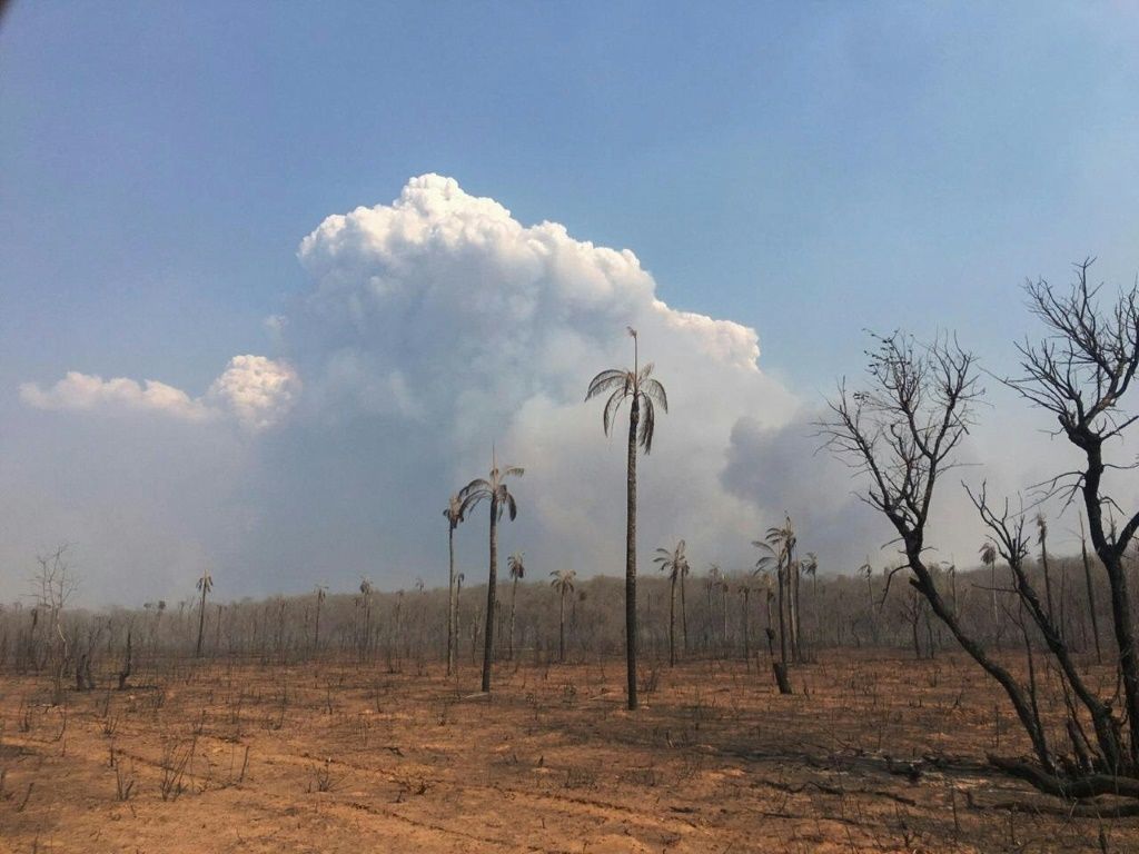 Rain Puts Out Some Of Bolivia's Wildfires | IBTimes