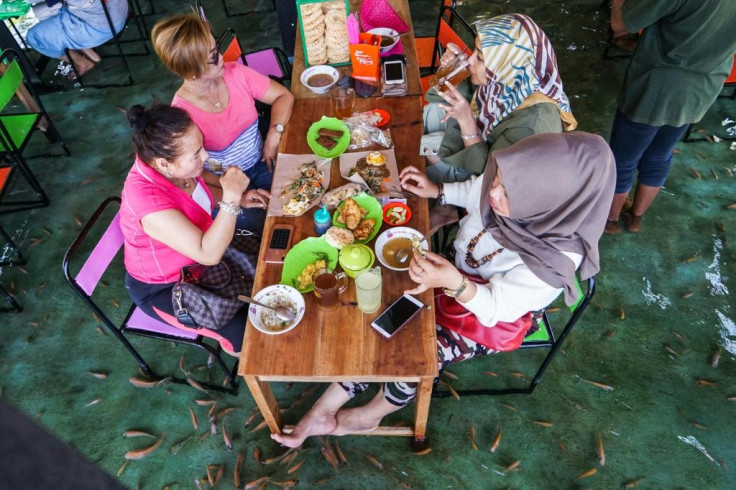 Foot Fetish Nibbles A Specialty At Indonesian Restaurant Ibtimes