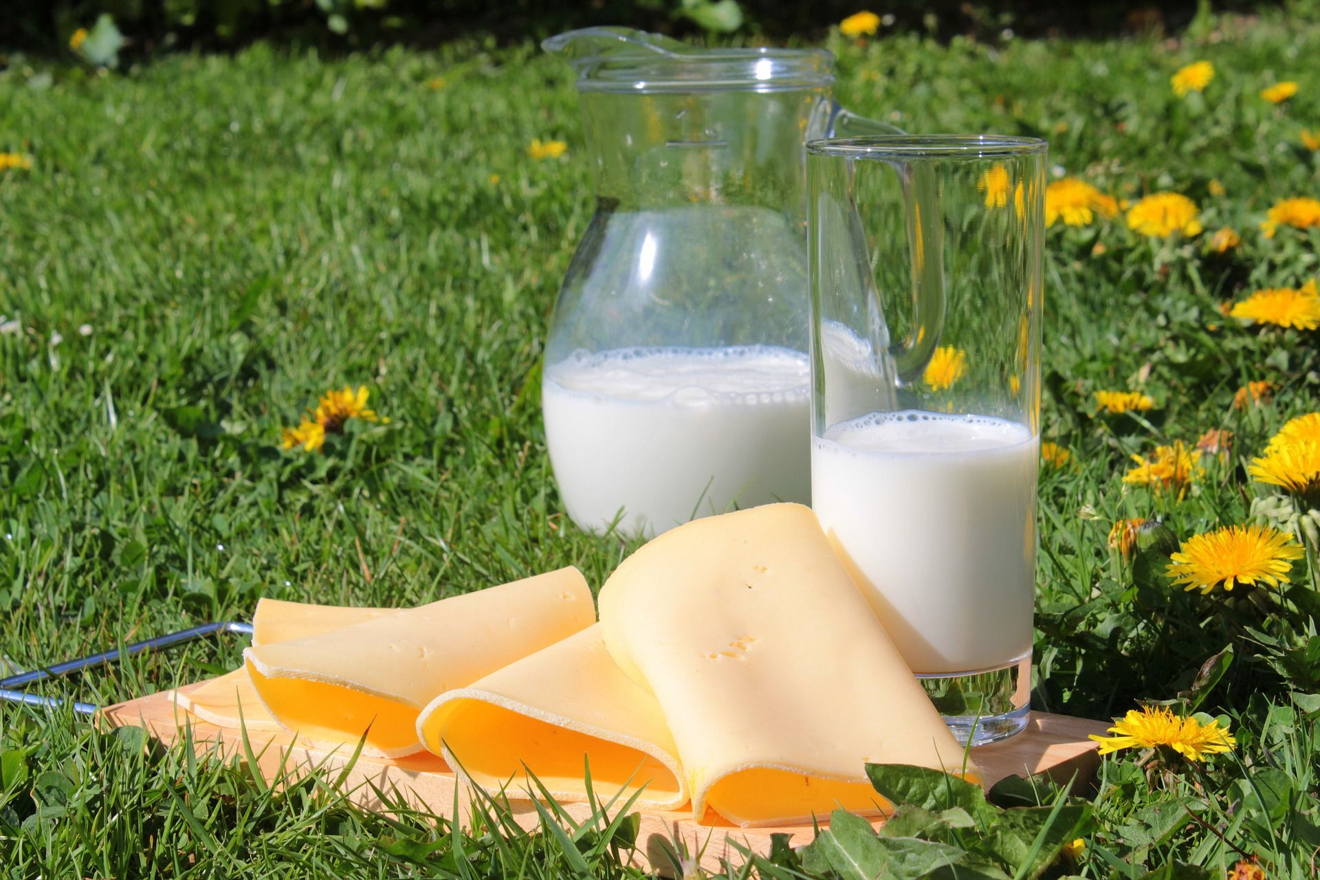 Dairy For Heart Health Dairy Fat Intake May Not Be So Bad After All Dairy For Heart Health Dairy Fat Intake May Not Be So Bad After All