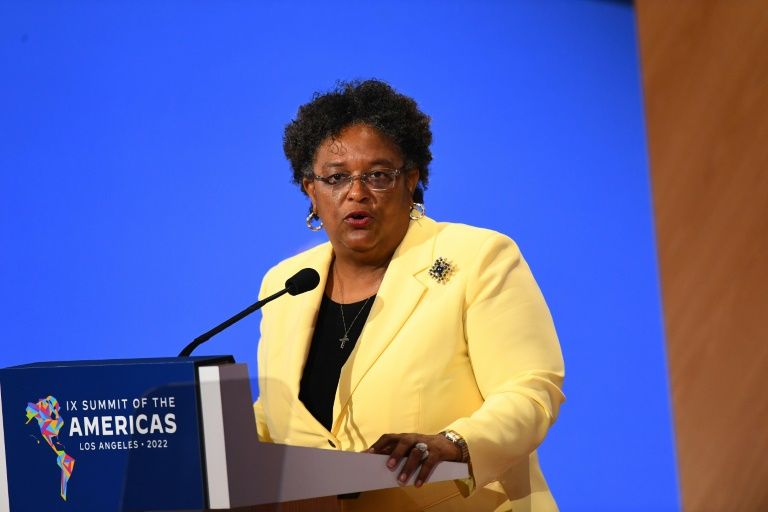 Bob Marley Brings Common Cause At Americas Summit | IBTimes