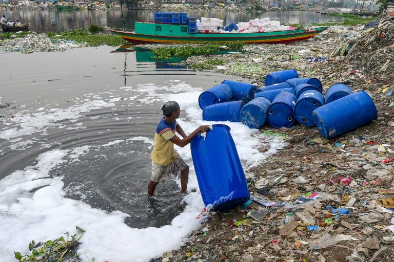 Global Wildlife Contaminated By 'Forever Chemicals' | IBTimes