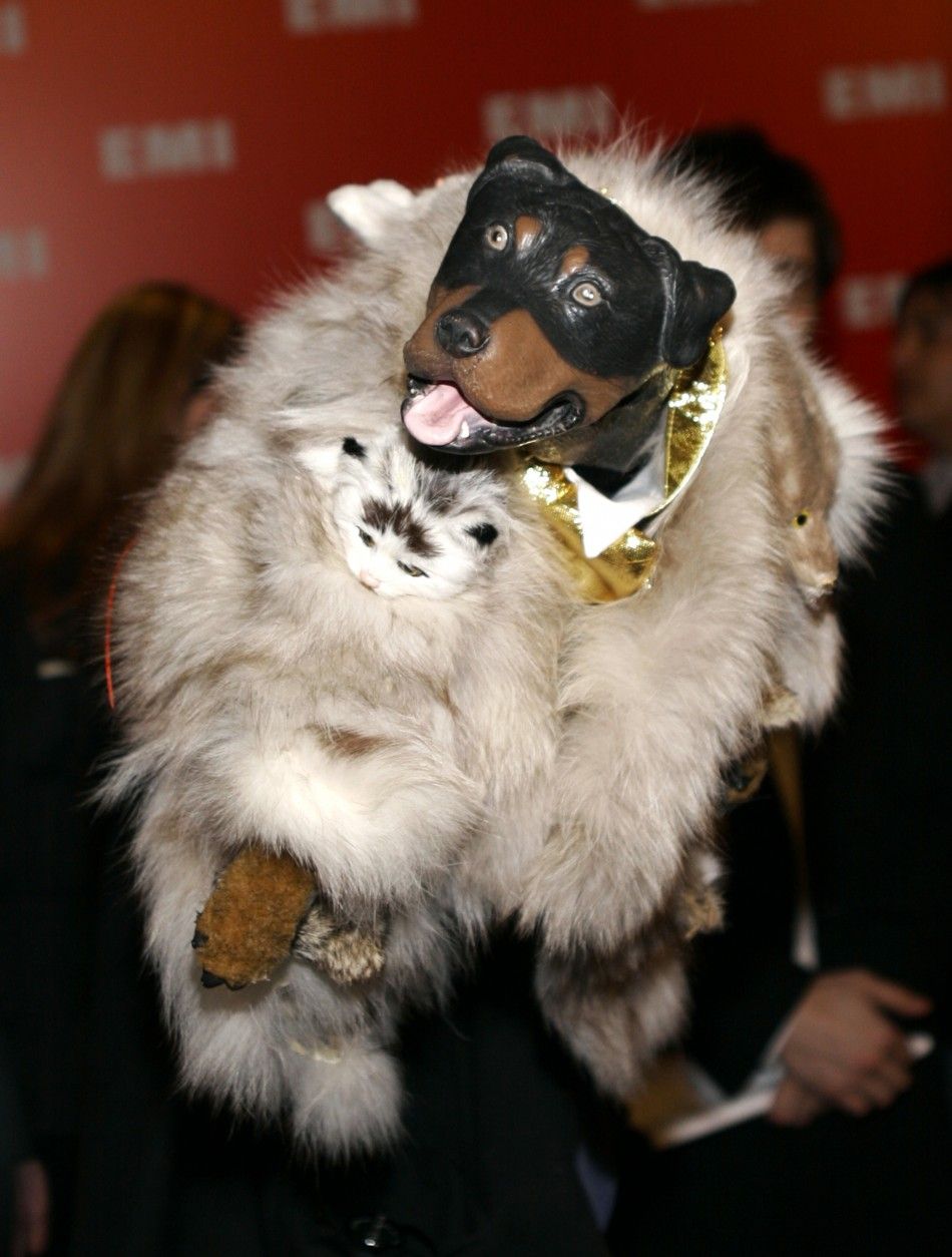 Conan O’Brien Reunites with Triumph the Insult Comic Dog [VIDEO] | IBTimes